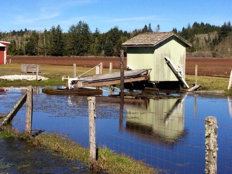 The Furford Cranberry Picker/Pruner: Ingenuity That Revolutionized an ...